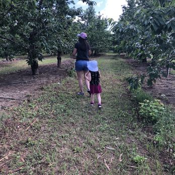 SAMASCOTT ORCHARDS - Updated October 2025 - 61 Photos & 73 Reviews - 5 ...