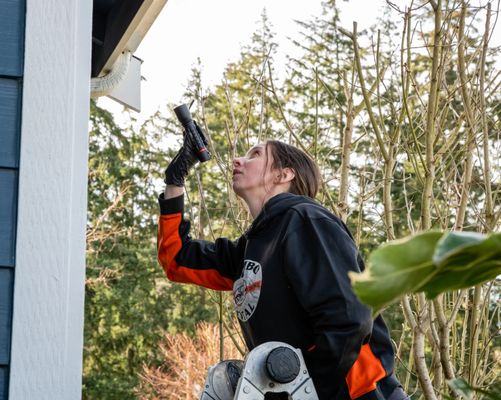 RAMBO TOTAL PEST CONTROL - PUYALLUP - Updated September 2025 - 74 ...