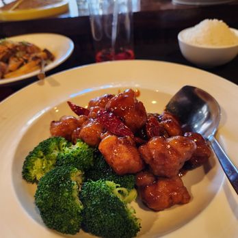 DIM SUM BLOOM - Updated December 2025 - 224 Photos & 62 Reviews - 2596 ...