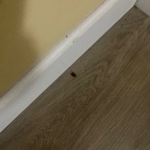 ALL POINTS INN - Updated June 2025 - 13 Reviews - 2617 Seth Williams ...