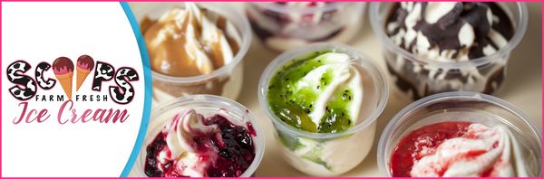 SCOOPS FARM FRESH ICE CREAM - Updated April 2025 - Wesley Chapel ...