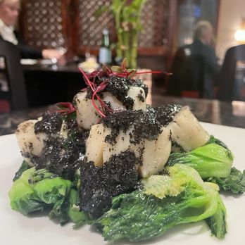 SHANGHAI TERRACE - Updated November 2025 - 1058 Photos & 426 Reviews ...