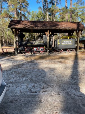 SOUTHERN FOREST WORLD - Updated June 2025 - 1440 N Augusta Ave ...