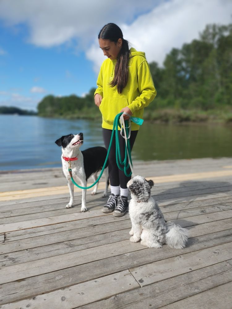 DELTA DOGS WALK & TRAIN - Updated October 2025 - Request a Quote ...