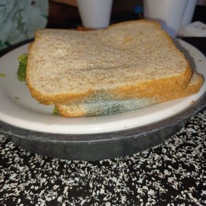 ST ELIZABETH IMAGING CENTER - Updated December 2025 - 2200 Conner Rd ...