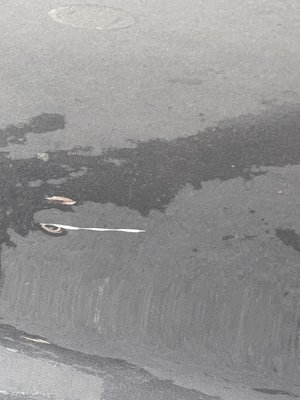 COACHCRAFT AUTOBODY - Updated August 2025 - 50 Photos & 136 Reviews ...