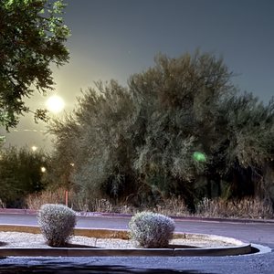 APACHE JUNCTION PUBLIC LIBRARY - Updated December 2025 - 26 Photos & 21 ...