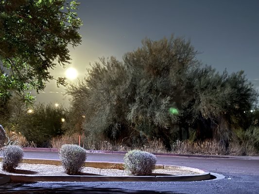 SOUTHEAST REGIONAL LIBRARY - Updated October 2025 - 57 Photos & 74 ...