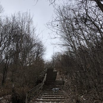 ARLINGTON-ARKWRIGHT DOG PARK - Updated October 2025 - 12 Photos & 14 ...