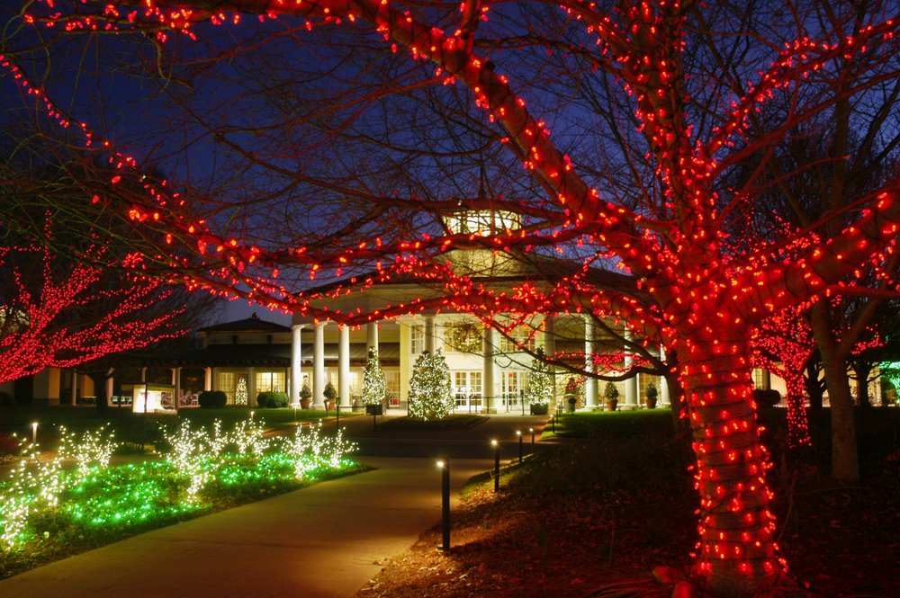 ICEBERG CHRISTMAS LIGHTS - Updated April 2025 - Request a Quote - 9876 ...