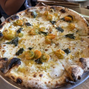 CAVOLO - Updated October 2025 - 35 Photos & 17 Reviews - 54 N Broad St ...