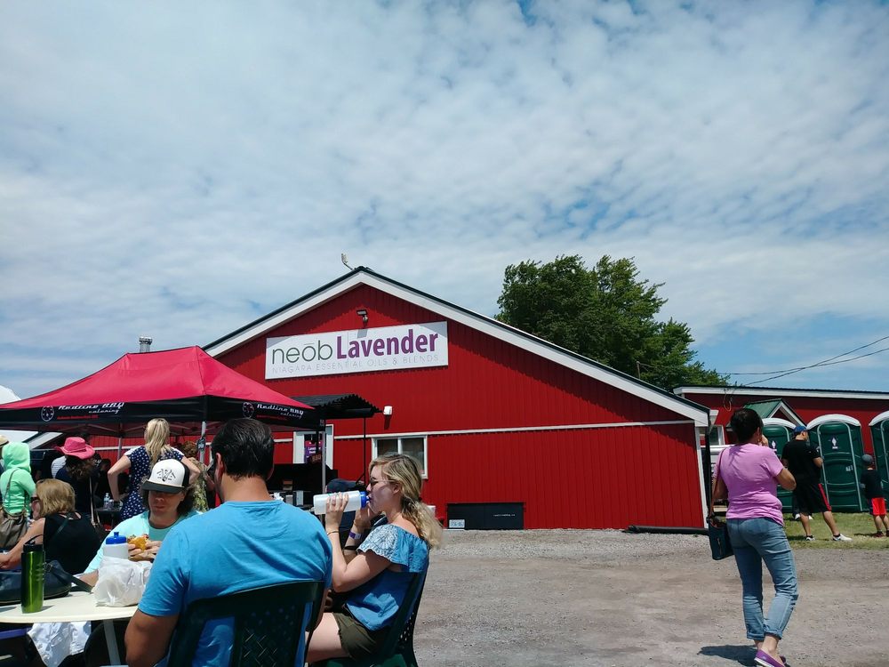 Neob Lavender 55 Photos And 11 Reviews Farms 758 Niagara Stone Road Niagara On The Lake On