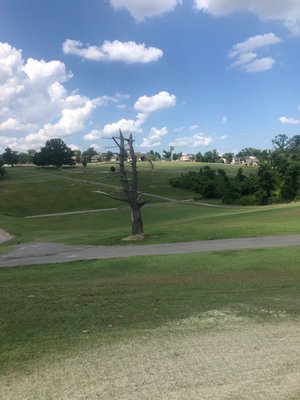 SHELBY GOLF COURSE - 30 Photos & 22 Reviews - 2021 Fatherland St ...
