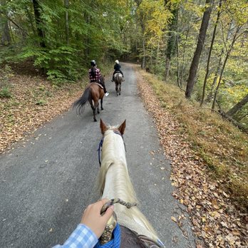 TOP VIEW RIDING RANCH - Updated November 2025 - 91 Photos - 36 Hess Rd ...