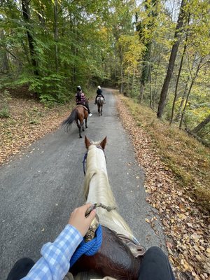 TOP VIEW RIDING RANCH - Updated November 2025 - 91 Photos - 36 Hess Rd ...