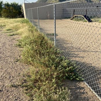 EAGLE VIEW RV RESORT - 142 Photos & 40 Reviews - 9605 N Fort McDowell ...