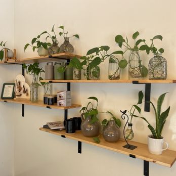 MEERA COFFEE & PLANTS - Updated March 2025 - 253 Photos & 146 Reviews ...