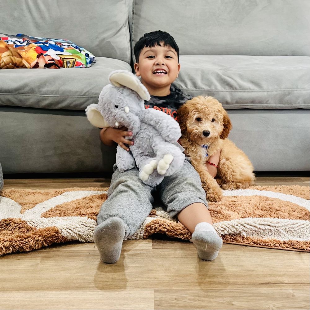 TOP DOGZ - Updated May 2025 - 140 Photos & 12 Reviews - San Francisco ...