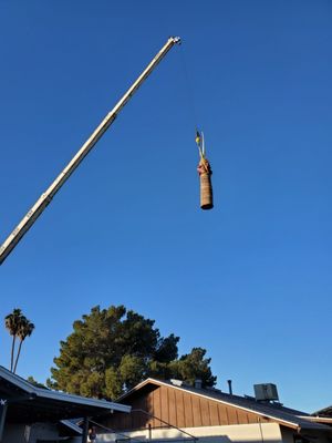 HAYWARD TREE SERVICE - 107 Photos & 127 Reviews - Phoenix, Arizona ...