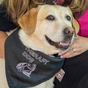 LABCORP - Updated April 2025 - 12 Photos & 72 Reviews - 14010 Smoketown ...