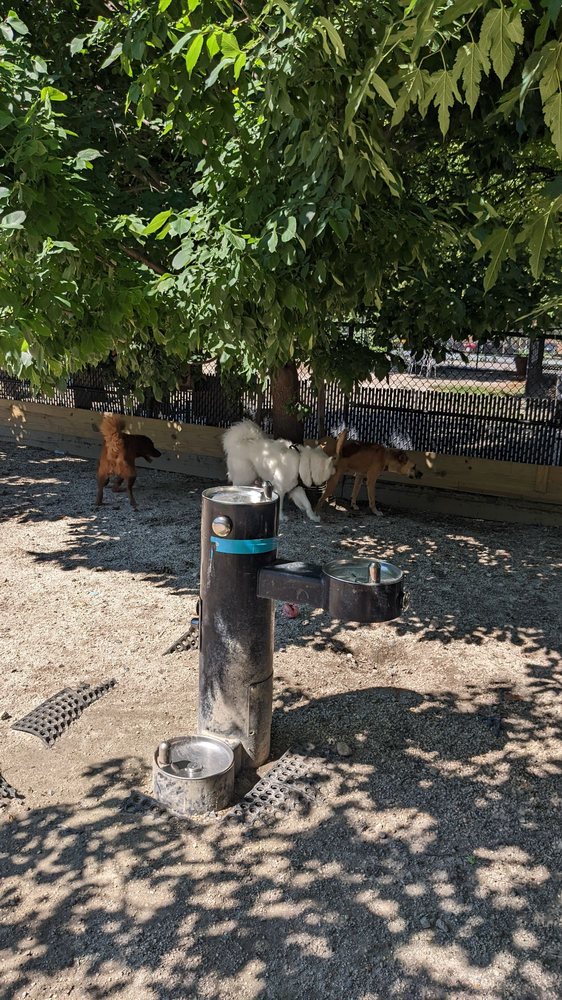 CANTON DOG PARK - Updated July 2025 - 11 Photos & 17 Reviews - 3221 ...