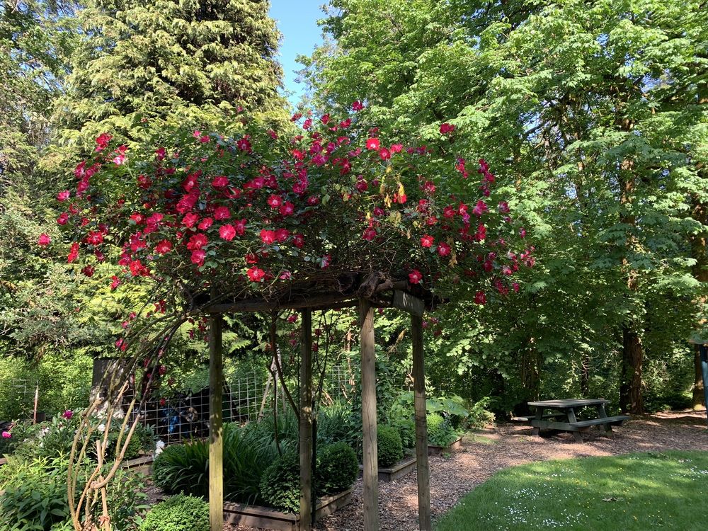 MADDAX WOODS PARK - Updated July 2025 - 28 Photos - 5785 River St, West ...