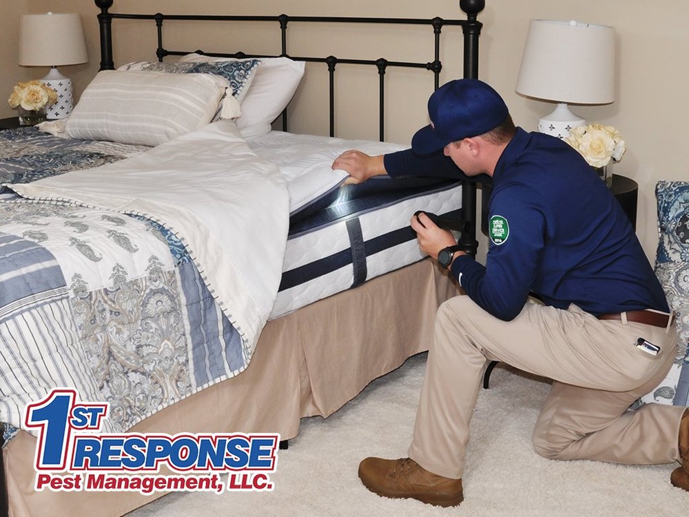 1ST RESPONSE PEST MANAGEMENT - Updated January 2026 - 16 Photos & 37 Reviews - 10346 Sawmill Rd ...