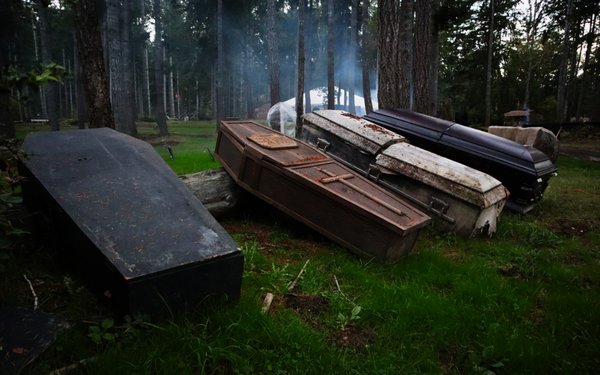 MY HAUNTED FOREST - Updated November 2025 - 11 Reviews - 17616 S Vaughn ...