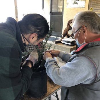 FUJI BONSAI NURSERY - Updated November 2024 - 62 Photos & 49 Reviews ...