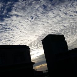 BORTHWICK MORTUARY - 64 Photos & 43 Reviews - 1330 Maunakea St ...