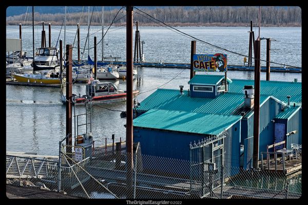 THE PUFFIN CAFE - Updated September 2024 - 225 Photos & 217 Reviews ...