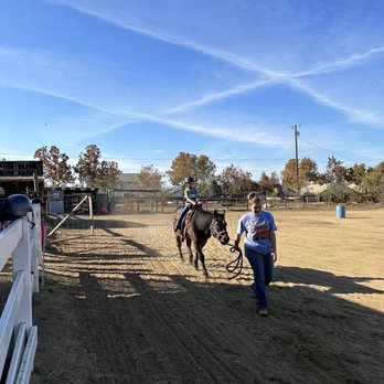THE DINGLE FAMILY FARM AND STABLES - Updated November 2025 - 555 Photos ...