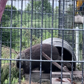 KISMA PRESERVE - Updated December 2025 - 30 Photos & 22 Reviews - 446 ...