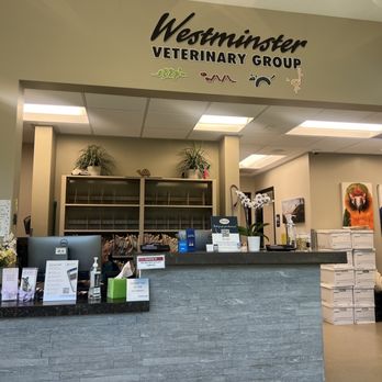 WESTMINSTER VETERINARY GROUP - Updated January 2026 - 110 Photos & 256 ...