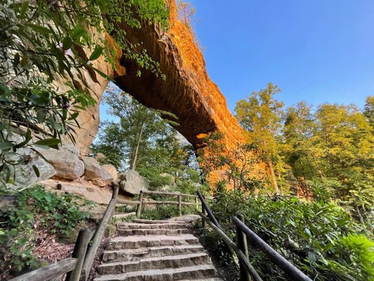 SKY BRIDGE STATION - Updated November 2025 - 192 Photos & 130 Reviews ...