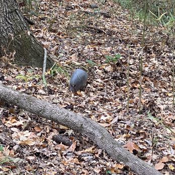 TUNICA HILLS CAMPGROUND - Updated January 2026 - 23 Photos & 16 Reviews ...