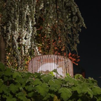 RISE OVER RUN - Updated January 2026 - 631 Photos & 234 Reviews - 33 ...