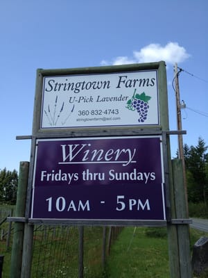 STRINGTOWN CELLARS & LAVENDER FARM - Updated December 2025 - 11 Reviews ...