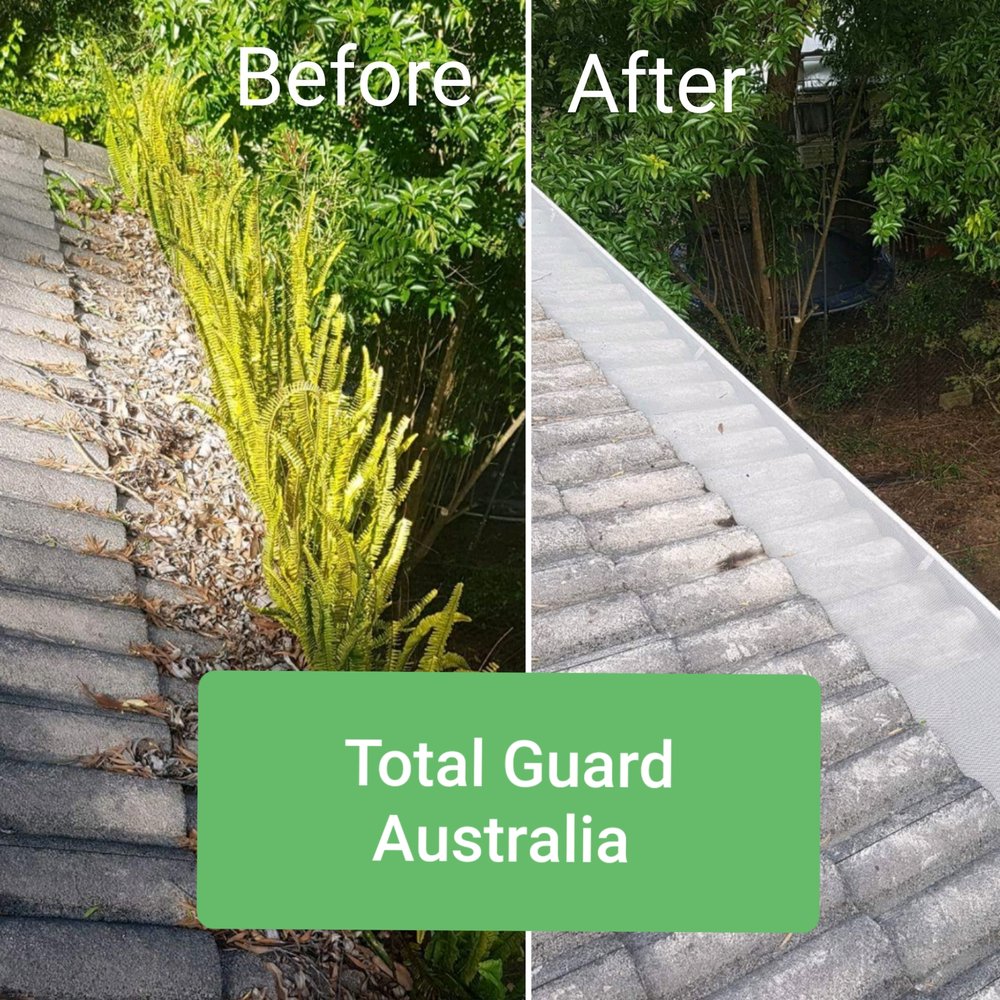 TOTAL GUARD AUSTRALIA - Updated August 2024 - 16 Photos - Currumbin ...