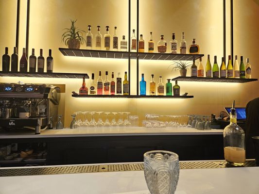 DOHO - Updated March 2026 - 49 Photos & 11 Reviews - 18 W Hortter St ...