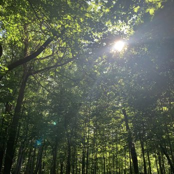 DODGE PARK - Updated January 2026 - 525 Photos & 53 Reviews - 40620 ...