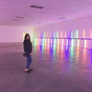 DAN FLAVIN INSTALLATION AT RICHMOND HALL - 19 Photos & 33 Reviews ...