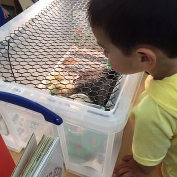 CHESAPEAKE PUBLIC LIBRARY - Updated December 2024 - 155 Photos & 23 ...