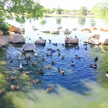 FREESTONE PARK - Updated December 2025 - 218 Photos & 118 Reviews ...