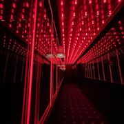 CHASING RABBITS - Updated September 2025 - 234 Photos & 87 Reviews ...