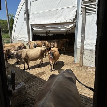 CATO CORNER FARM - Updated December 2025 - 48 Photos & 39 Reviews - 178 ...