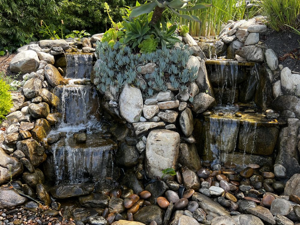 ENVIROSCAPE LA - Updated January 2026 - 41 Photos & 26 Reviews - 5310 ...