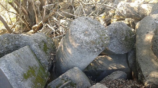 TASSAJARA CREEK REGIONAL PARK - 51 Photos & 13 Reviews - Hiking - 6100 ...