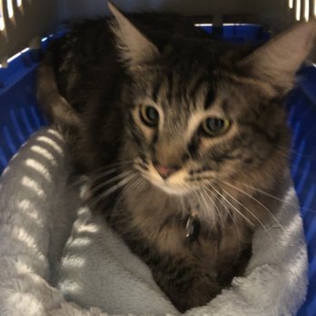 WAGS - Updated May 2024 - 37 Photos & 24 Reviews - 135 Southwest Blvd ...