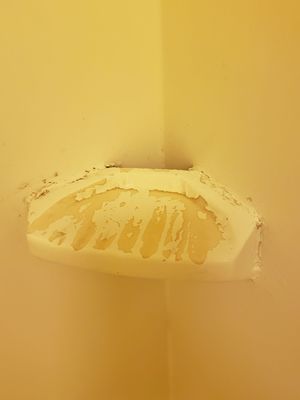 RODEWAY INN - 76 Photos & 52 Reviews - Hotels - 1620 W Beach St ...